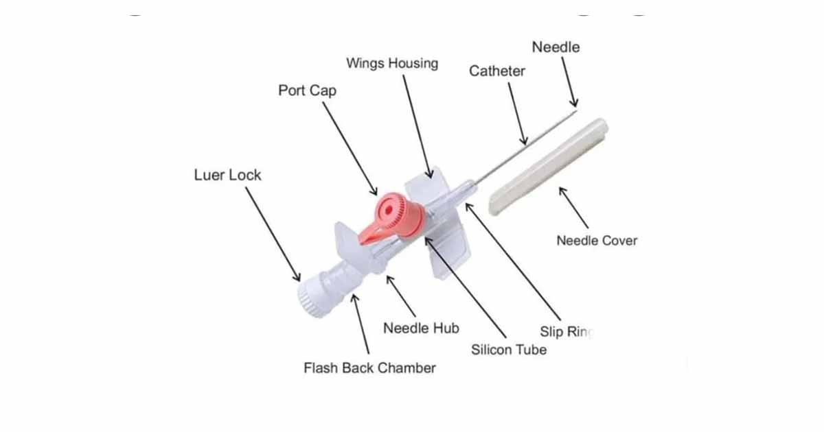 Types of IV Cannula: 8 Different Sizes, Colors, and Uses