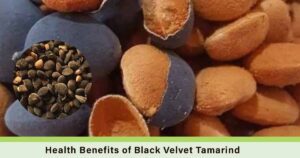 10 Important Health Benefits of Black Velvet Tamarind
