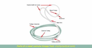 Nasal Cannula vs Nasal Prong: The Differences