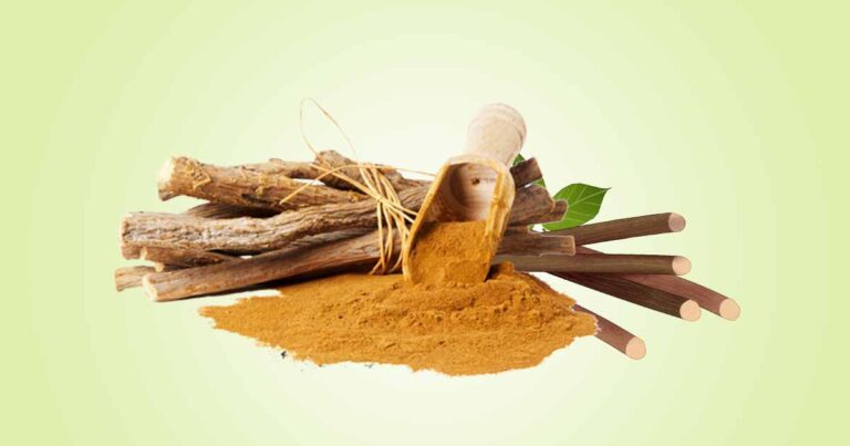 Liquorice Plant (Glycyrrhiza glabra): Important Health Benefits, Other ...