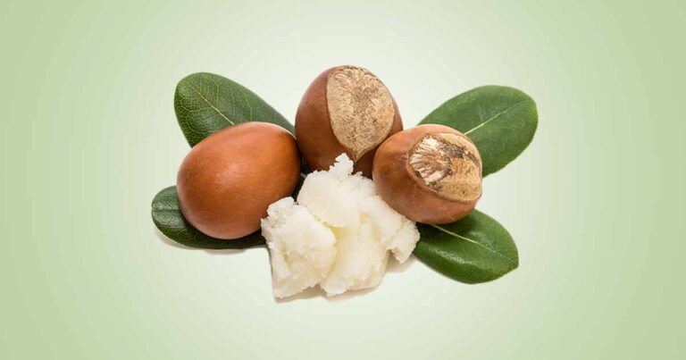 Shea Butter: Important Nutritional and Health Benefits, Hair and Skin ...